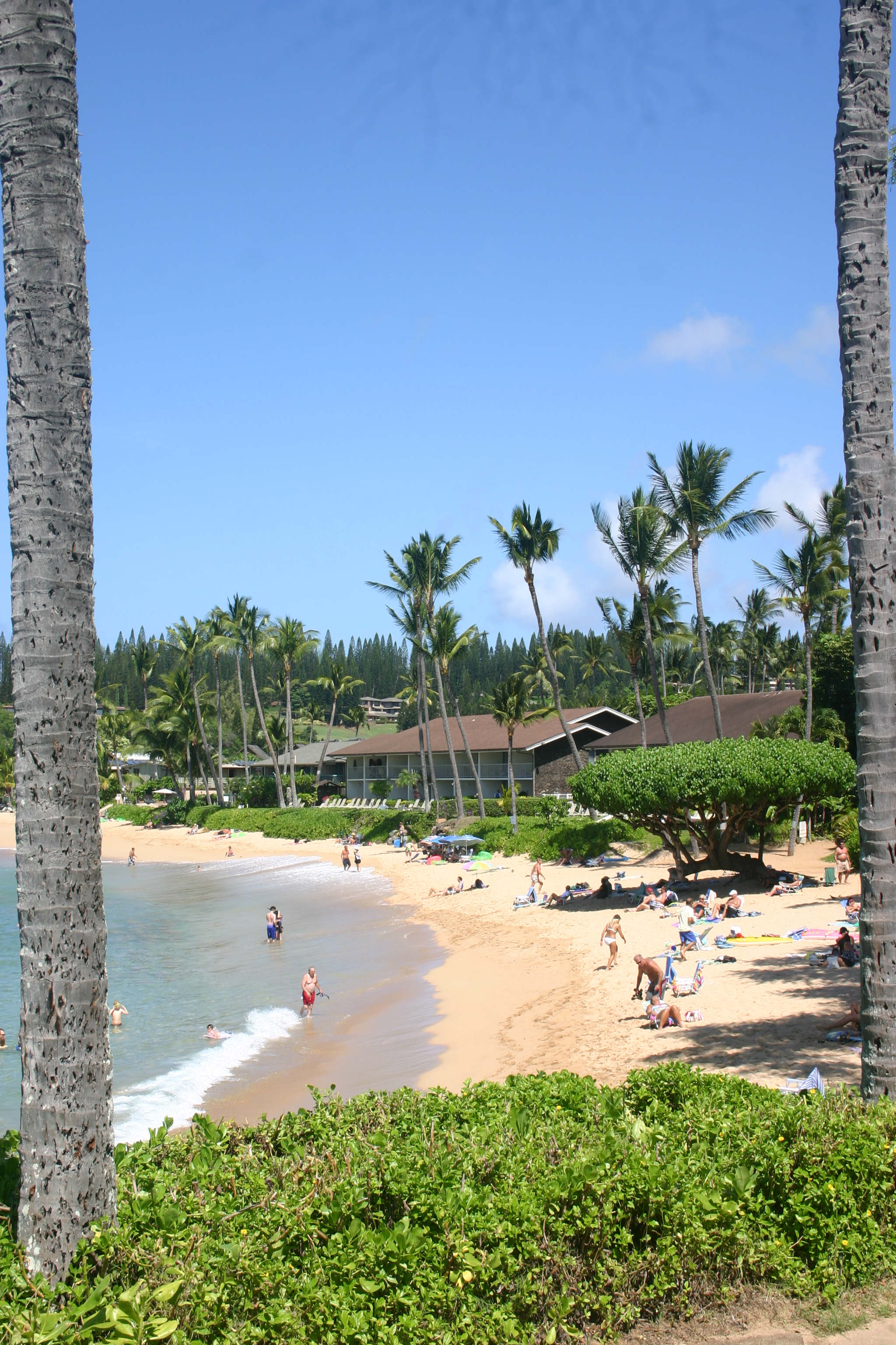 Napili Bay | Maui Guidebook