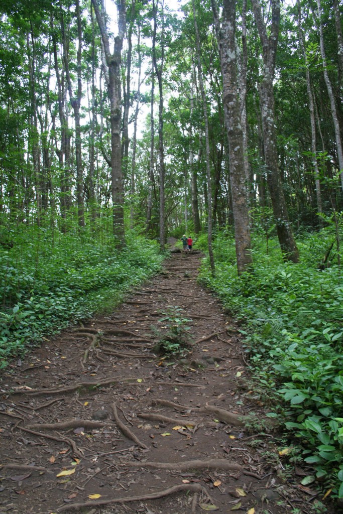 Waihe'e Ridge Trail | Maui Guidebook