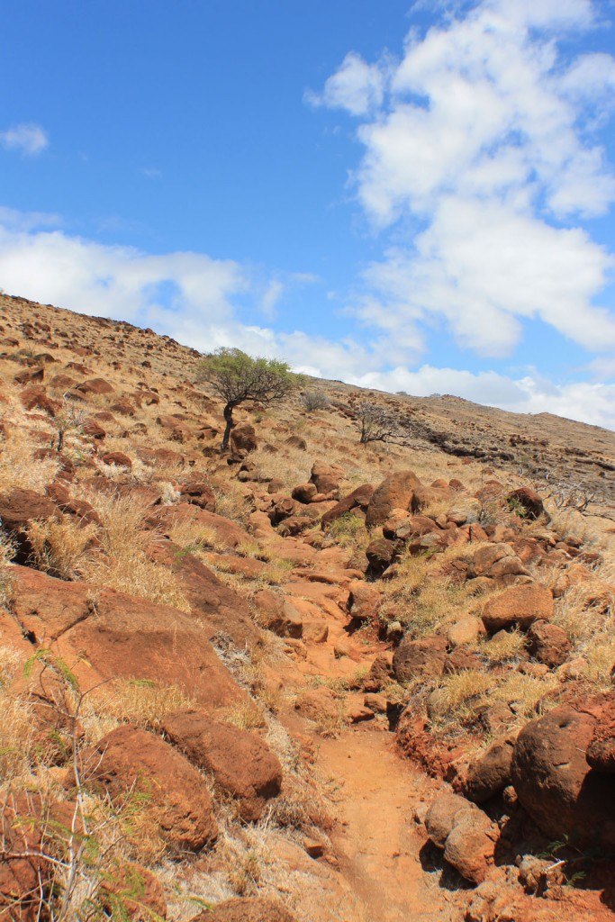 Lahaina Pali Trail | Maui Guidebook
